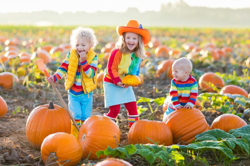 15 Ways To Play And Learn With A Pumpkin