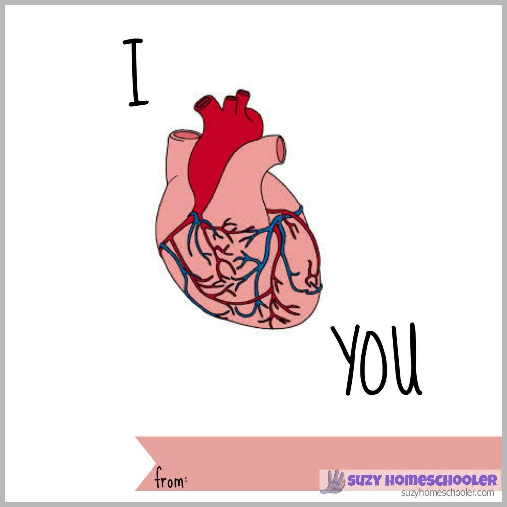 STEM Saturday: Free Printable Human Heart Fact Valentines