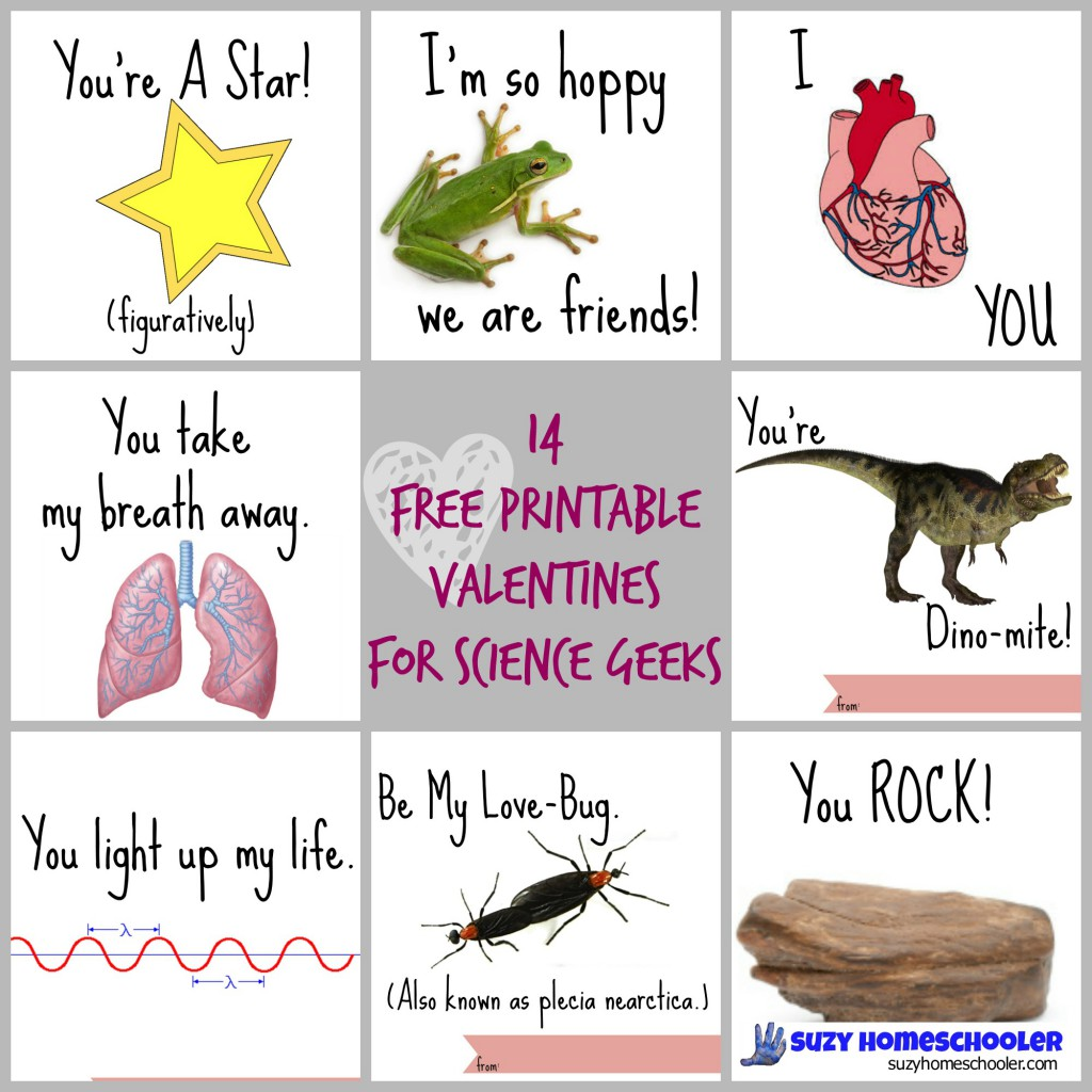 STEM Saturday: Free Printable Human Heart Fact Valentines