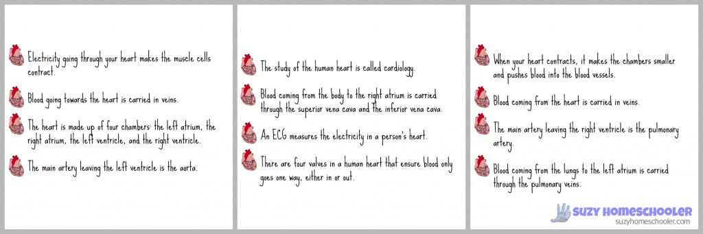 STEM Saturday: Free Printable Human Heart Fact Valentines